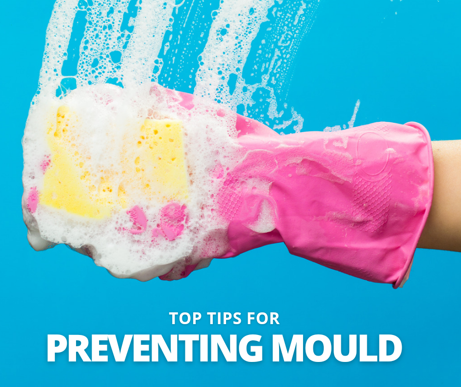 Combat and Prevent Mould Growth in Your Home This Winter - Dimosons